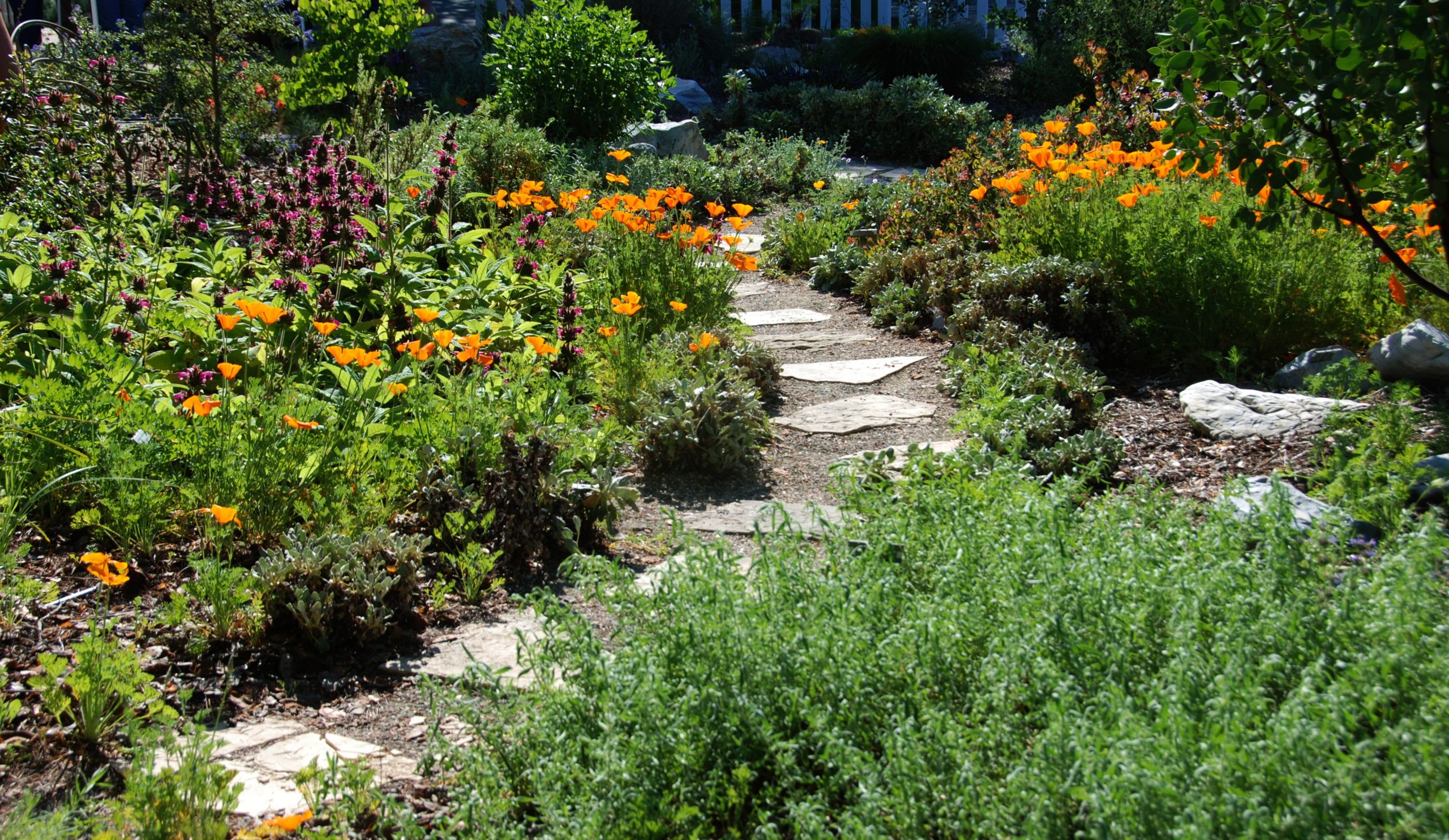 QWEL » California Water Efficiency Partnership